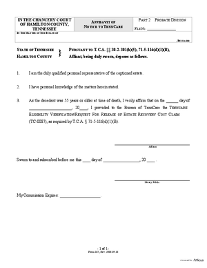 Affidavit Of Notice To Tenncare (Hamilton) - Tennessee | Atticus® Forms